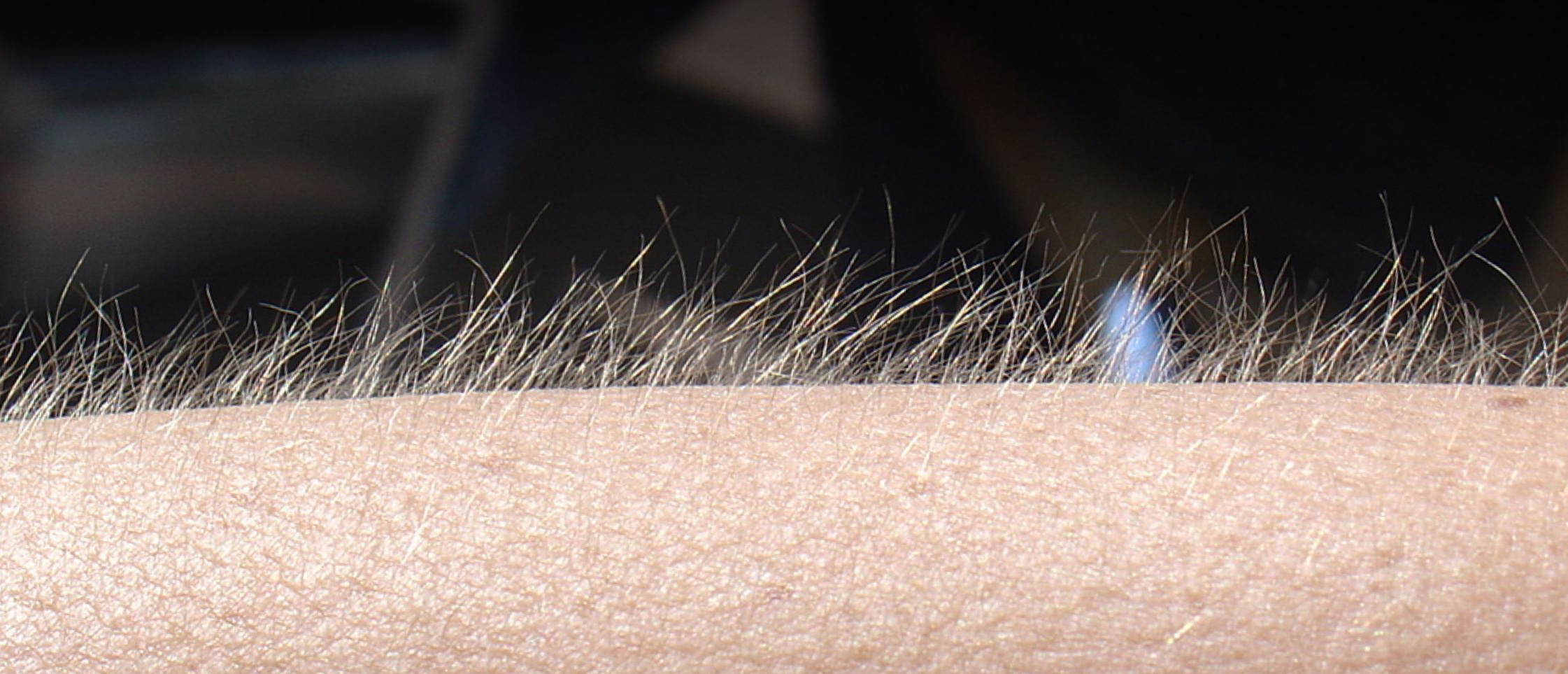 Culto ao arrepio - Roger da Escola